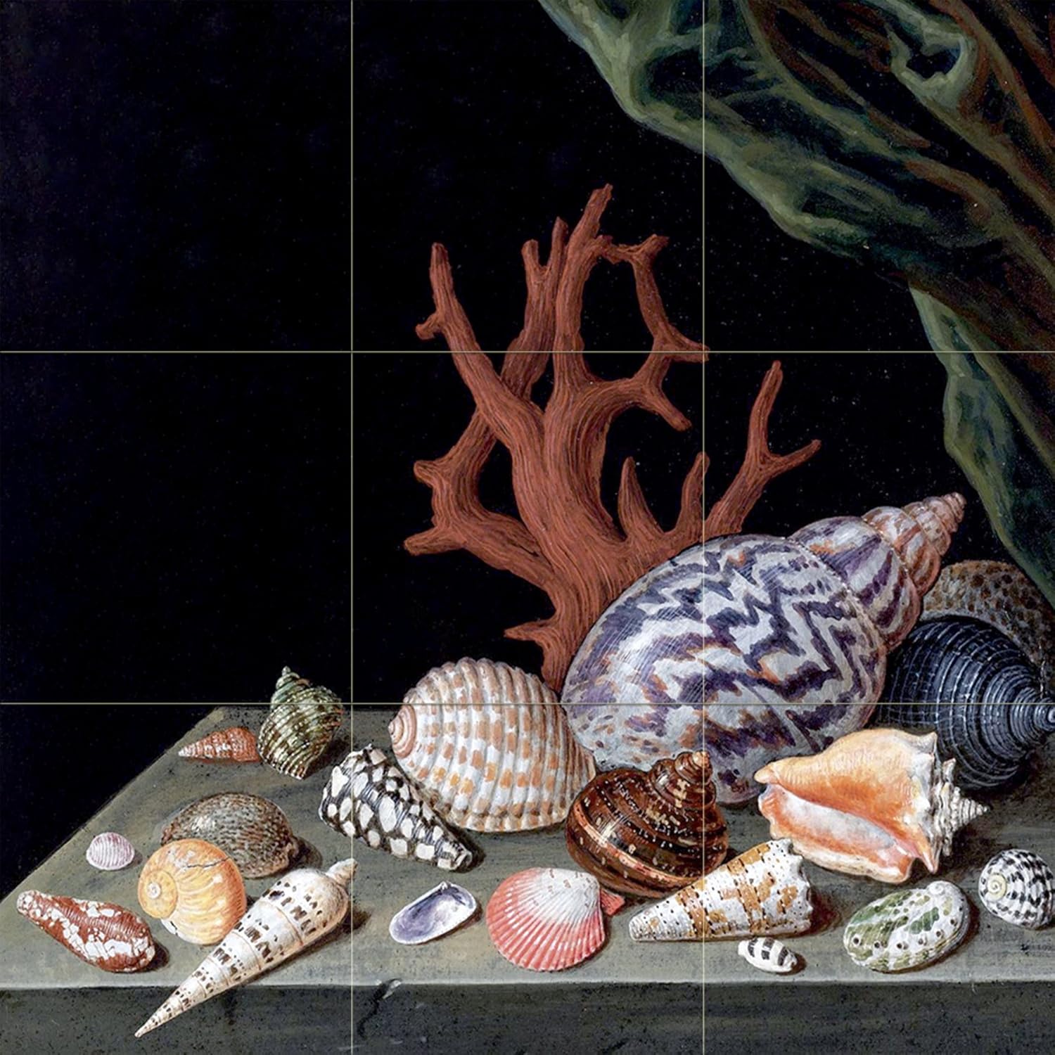 STILL LIFE WITH SHELLS CORAL Accent Tile Mural Kitchen Backsplash ...