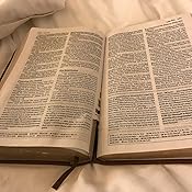 The Amplified Study Bible, Leathersoft, Brown [Large Print]: Zondervan ...