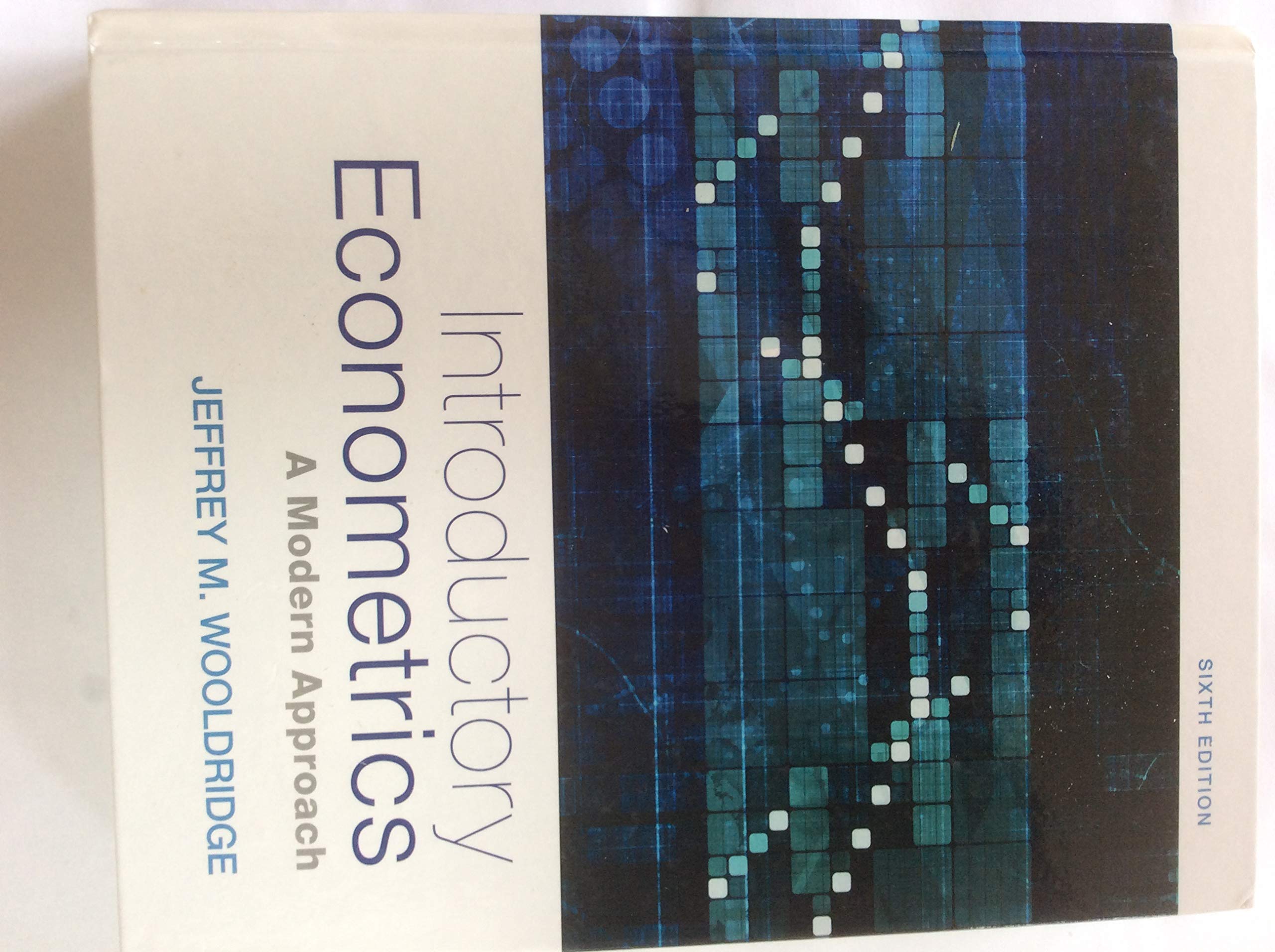 Mua Introductory Econometrics: A Modern Approach - Standalone Book ...