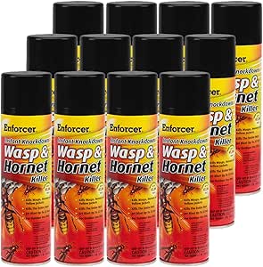 Amazon.com: Zep Enforcer Yellow Jacket, Wasp and Hornet Killer 16 Oz ...