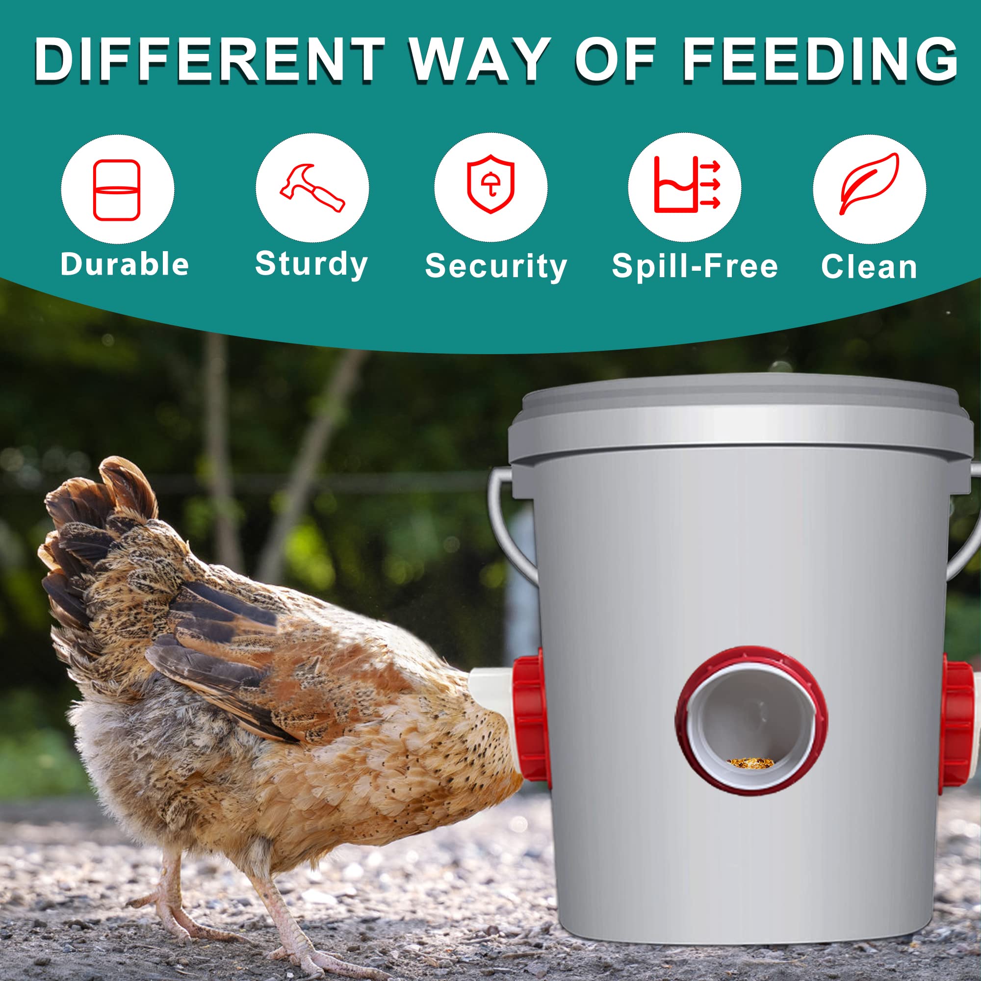 Mua ZenxyHoC Chicken Feeders No Waste, DIY Automatic Poultry Feeder 4 ...
