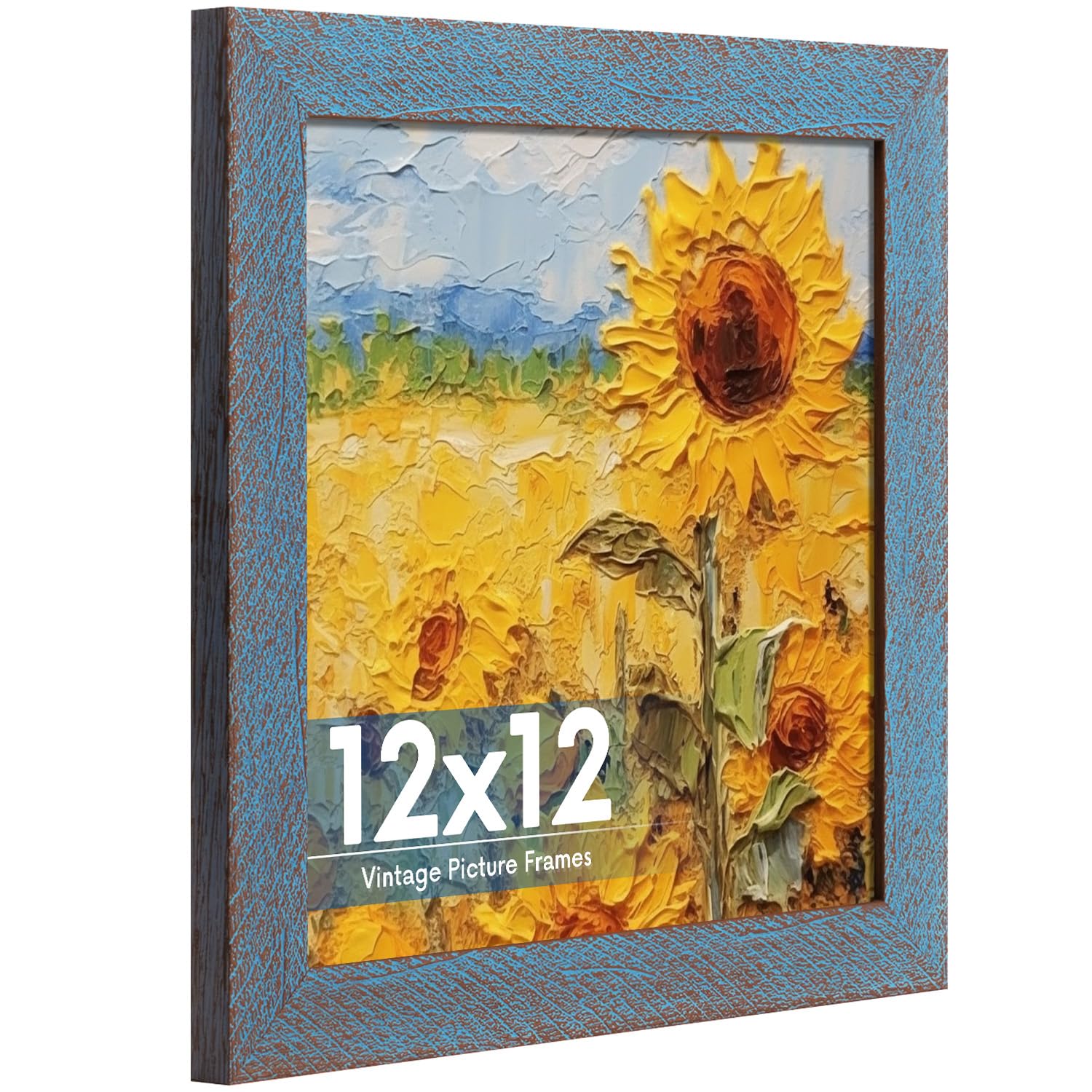 Anozie 12x12 Frame, Vintage 12 x 12 Frame Plexiglass Glass for Wall ...