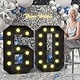 Amazon.com: Froova 4FT Light up Numbers 60 Big Mosaic Numbers Marquee ...