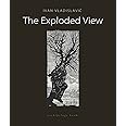 The Exploded View: Vladislavic, Ivan: 9780914671688: Amazon.com: Books