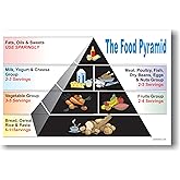 Amazon.com: Food Guide Pyramid for Young Children Poster 24x36 Detailed ...