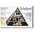 Amazon.com: My Food Pyramid Poster 18" x 24" Laminated, USDA MyPyramid ...