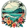 Amazon.com: Oahu Hawaii Design C Souvenir Decorative Flat Magnet 4-Inch ...