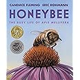 Honeybee: The Busy Life of Apis... by Fleming, Candace