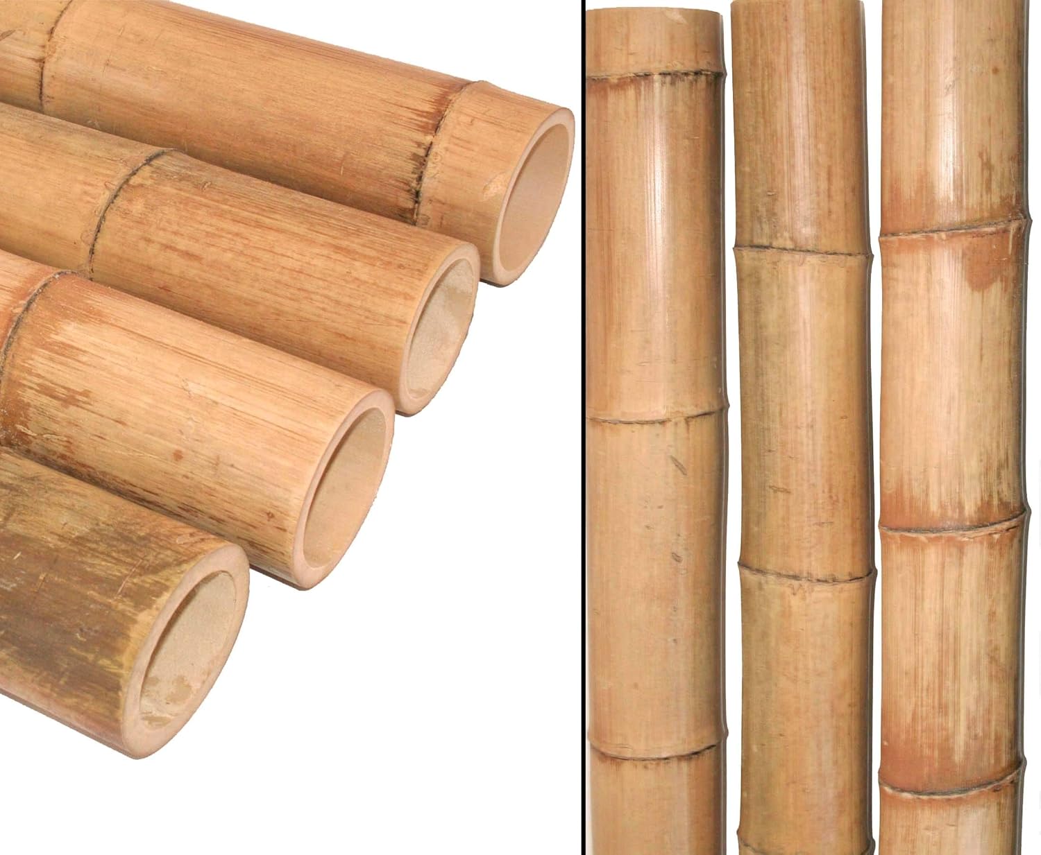 Bambusstab 300cm gelbbraun Durch. 10 bis 12cm, Moso Natur ...
