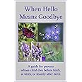 When Hello Means Goodbye: Kirk, Paul, Schwiebert, Pat: 9780961519704 ...