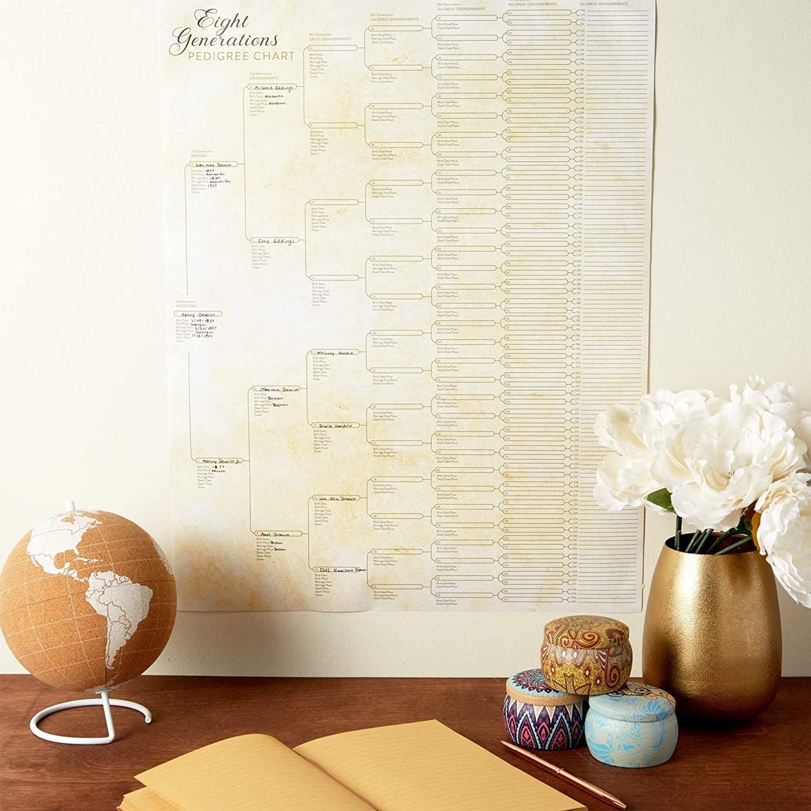 Mua Okuna Outpost 15 Pack Family Tree Charts to Fill In - Off-White ...