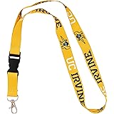 Amazon.com: University of California Irvine Anteaters UCI Eaters Car ...