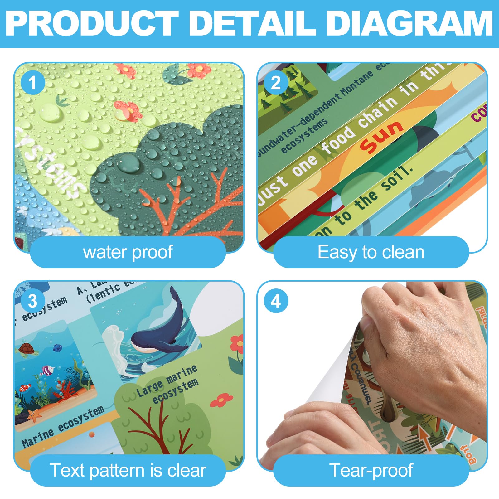 Mua Pasimy 11 Pcs Science Posters for Classroom Ecosystems Teaching ...