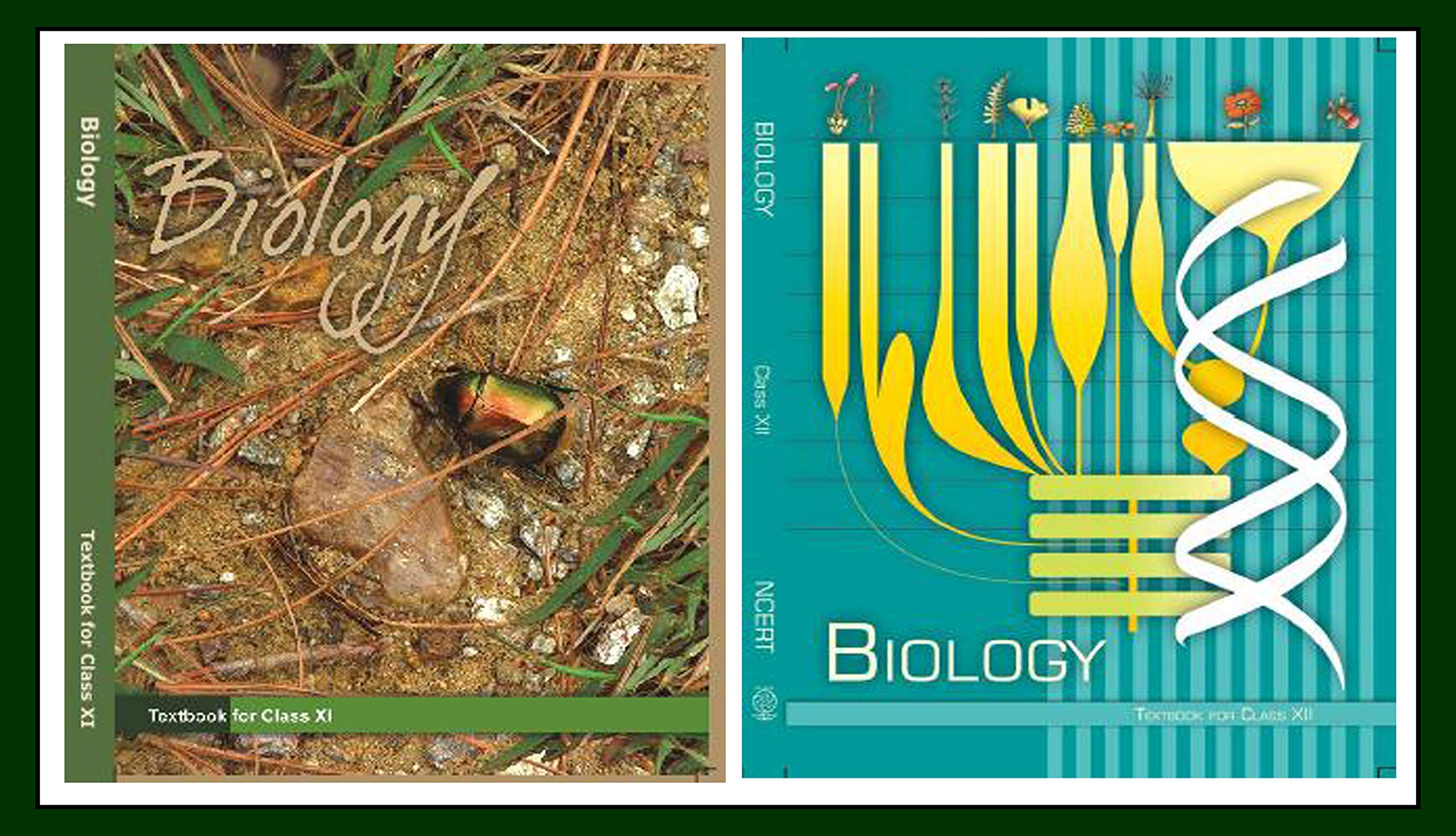 NCERT Biology Textbook For Class 11 And Class 12 Set Of 2 Original