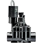 Amazon.com: Rain Bird DASASVF075 Professional Grade Anti-Siphon Valve ...