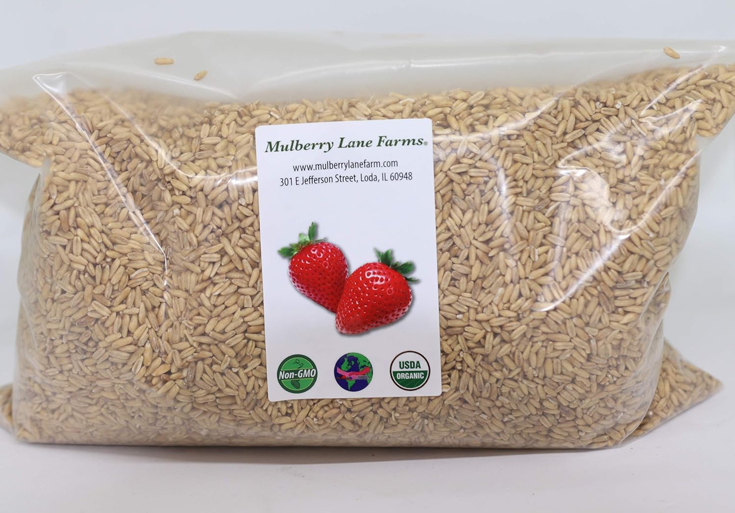 Soft White Wheat Berries 4 Pounds Kernels, USDA Certified Organic, Non ...