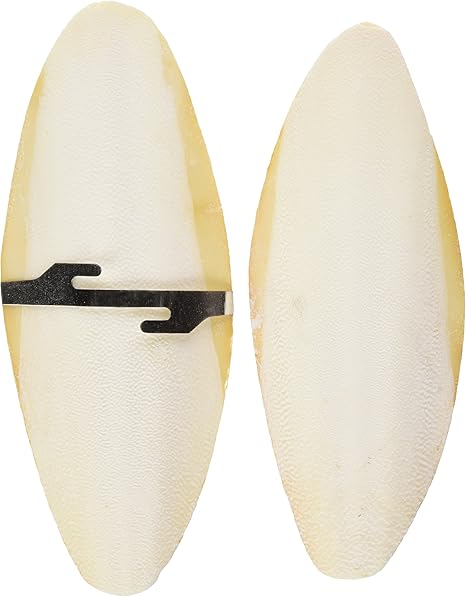 Living World Cuttlebone, Large, Twin-Pack: Amazon.ca: Pet Supplies