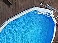 Amazon.com : Pool Patrol PA-30 Pool Alarm : Swimming Pool Alarms ...