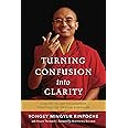 Amazon.com: Turning Confusion into Clarity: A Guide to the Foundation Practices of Tibetan ...