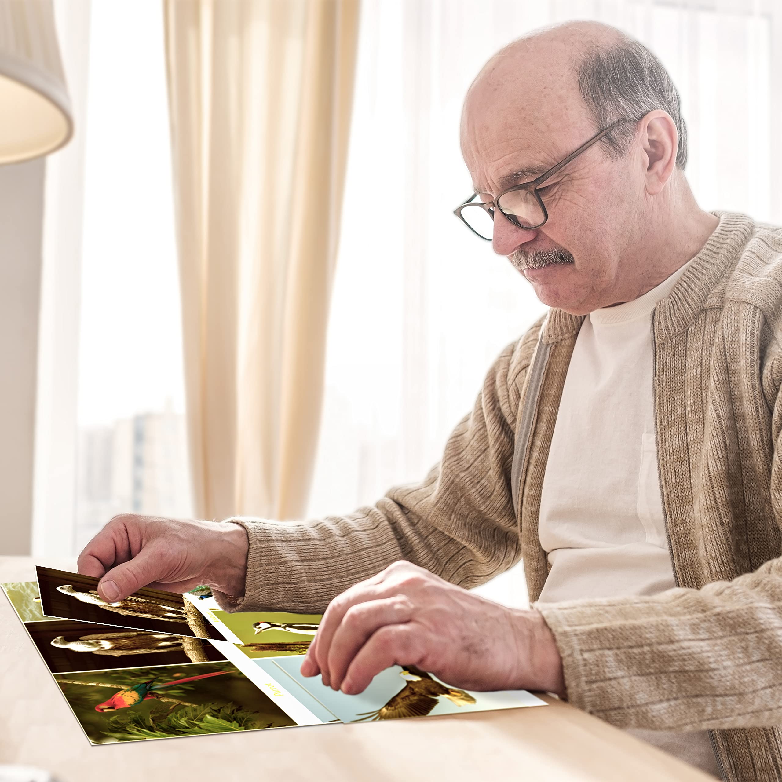 Senior Brain Exercises Keeping Busy Match The Photos Game - Dementia ...