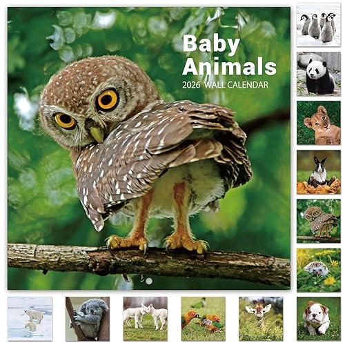 2026 Calendar - 12 Month Baby Animals Wall Calendar 2026 from January ...