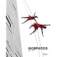 Morphosis: 2004-2018: Mayne, Thom: 9780847866458: Amazon.com: Books