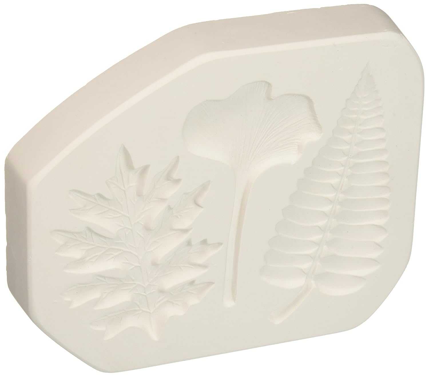 AMACO Leaf Sprig Mold, 7-1/2 x 6-1/2 Inches: Amazon.co.uk: Welcome