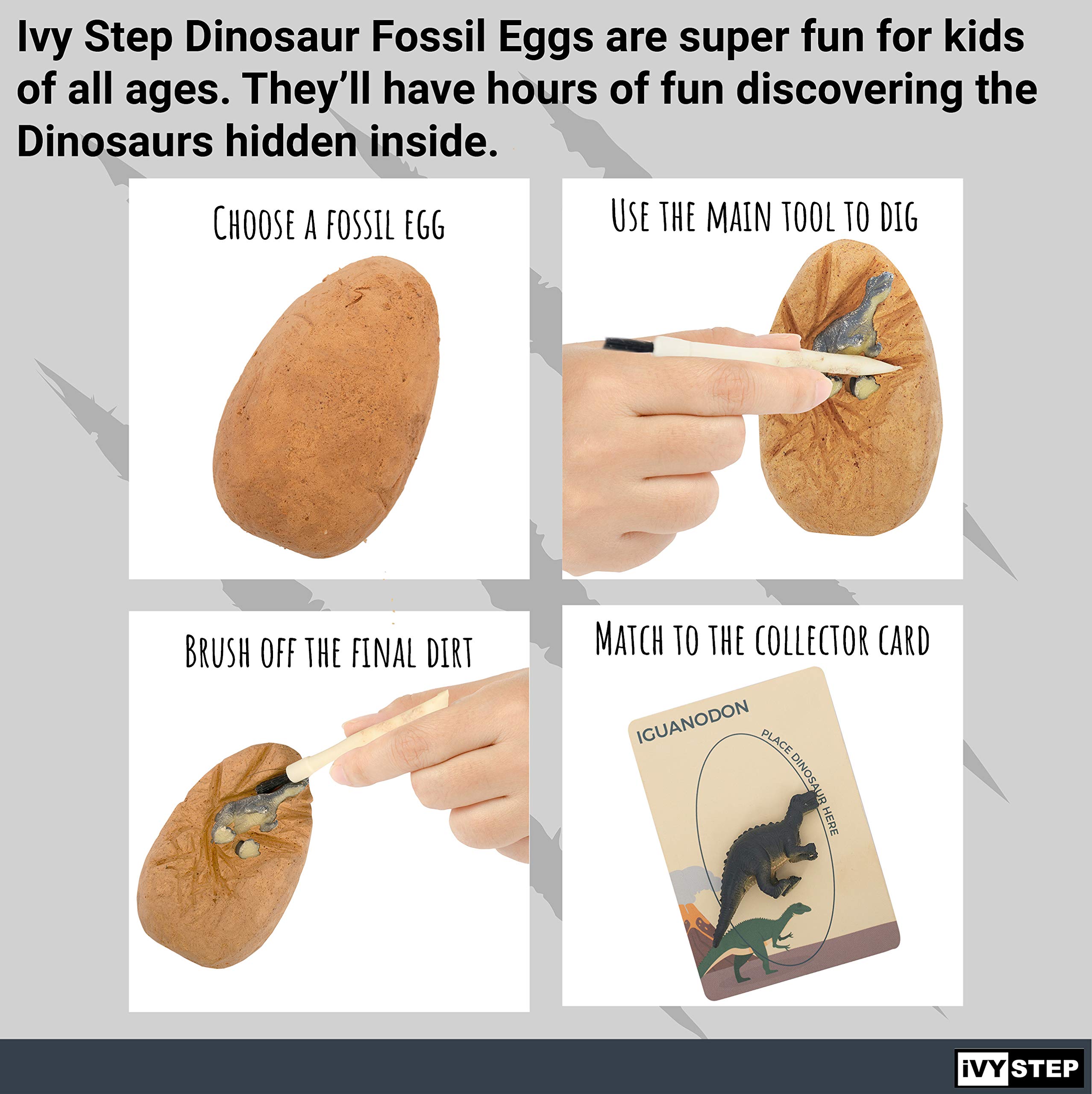 Mua Dinosaur Fossil Dig Kit - Kids Explorer Kit w/ Egg Excavation Tools ...
