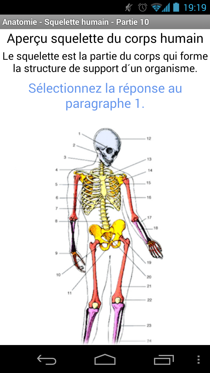 Anatomie - Squelette humain - Partie 10: Amazon.ca: Appstore for Android