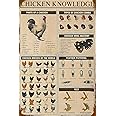 Amazon.com: Chicken Knowledge Chicken Decor Metal Tin Sign Chicken Coop ...