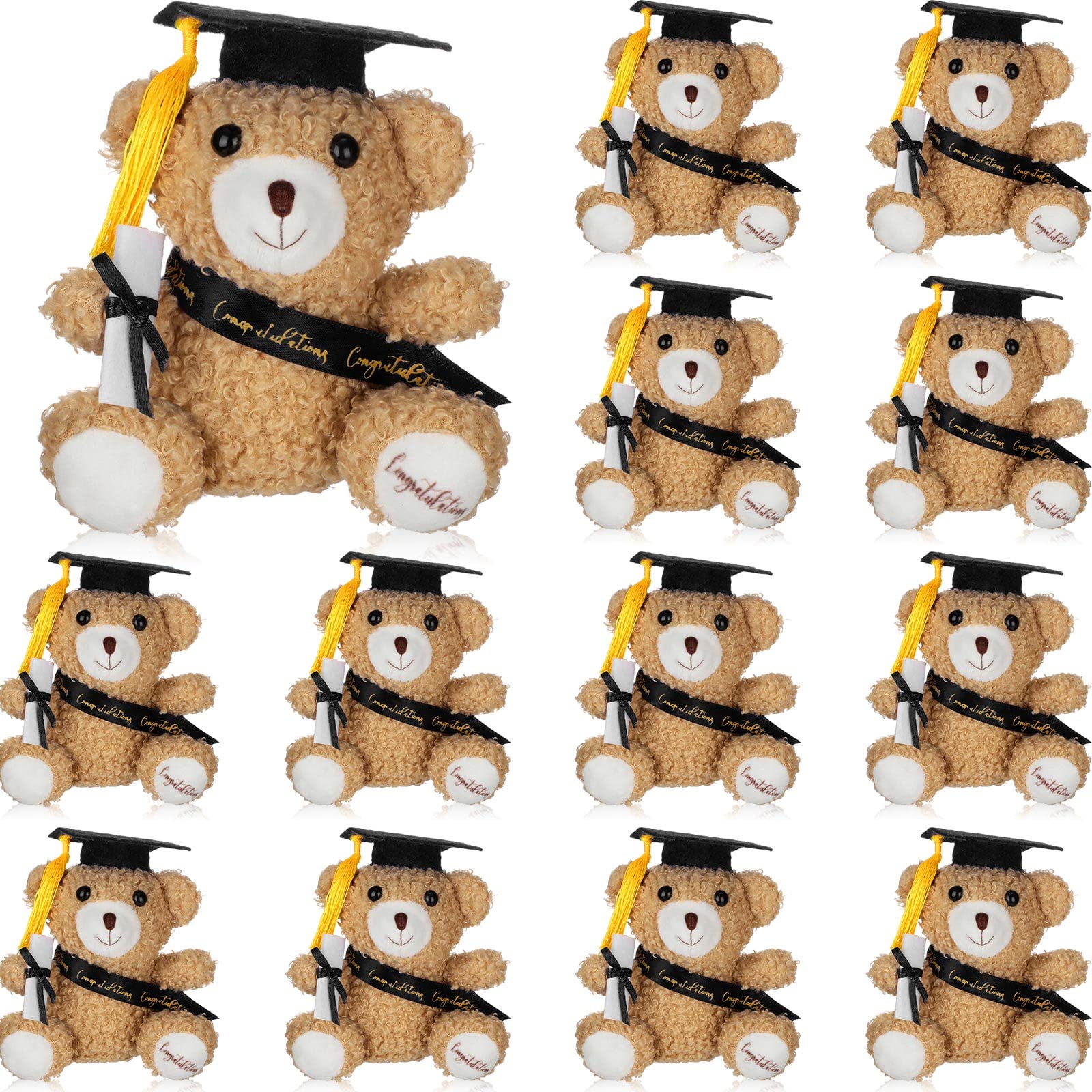 Chuangdi 12 Pcs 4 Inch Mini Graduation Bears Bulk Class of 2025 Mini ...