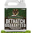 Amazon.com : PETRAMAX Liquid Lawn Dethatcher 0-0-2, Lawn Dethatcher ...