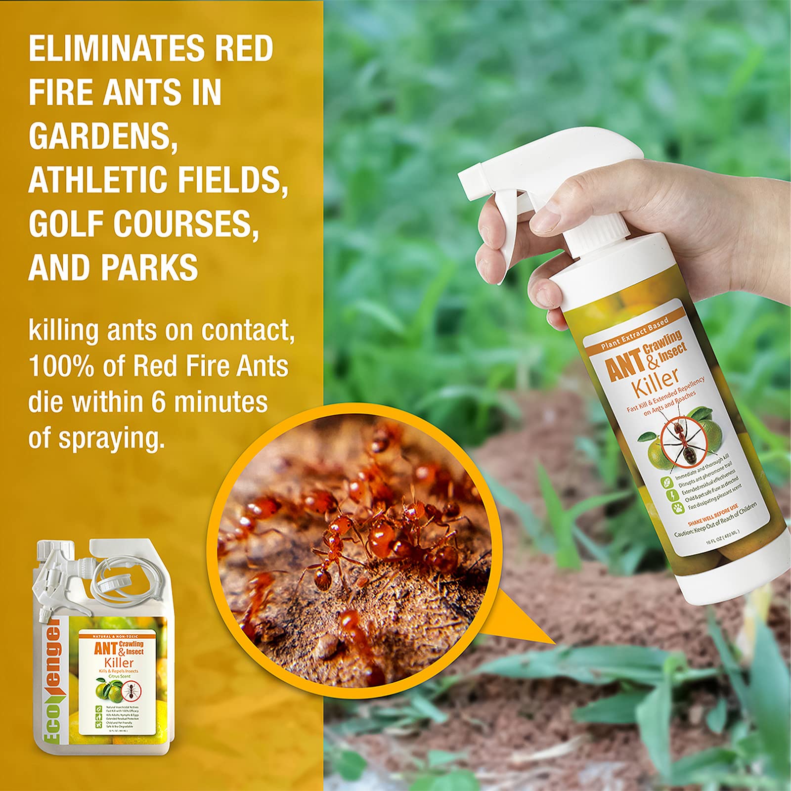 EcoRaider Ant & Crawling Insect Killer (34 OZ), 100% Fast Kills, Also Kills Fire Ants. Lasting ...