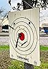 Tomahawk Targets - Large 4-Ring Hanging Axe Throwing Target Board and ...