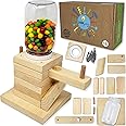 Amazon.com: SparkJump DIY Candy Dispenser Wood Building Kit | Real Wood ...