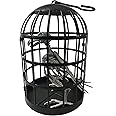 Amazon.com: Plastic Bird Skeleton in Cage Halloween Decoration : Home ...