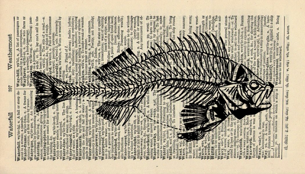Amazon.com: Fish Skeleton Art Print - Bathroom Art Print - Vintage ...
