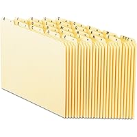 Amazon.com : Pendaflex PFXEN225 EN225 A-Z Top Tab Recycled File Guides ...