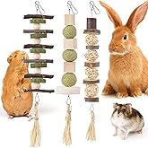 Amazon.com : VCZONE Rabbit Chew Toys, Pet Bunny Tooth Chew Toys Organic ...