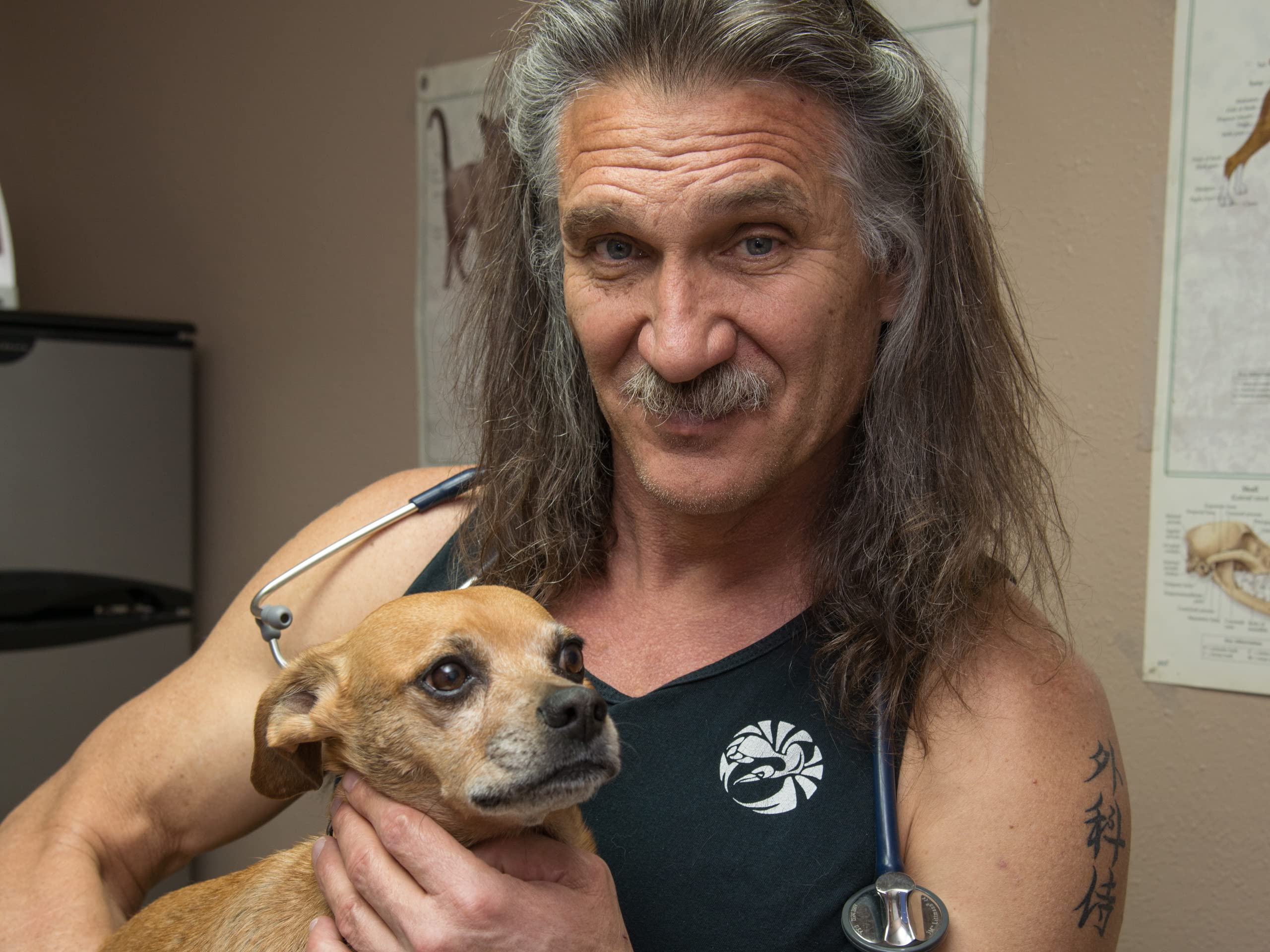 Amazon.de: Tierarzt Dr. Jeff - Der Rocky Mountain Doc - Season 1 ...