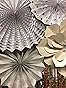 Amazon.com: Silver Engagement Decorations, Silver Paper Fans ...