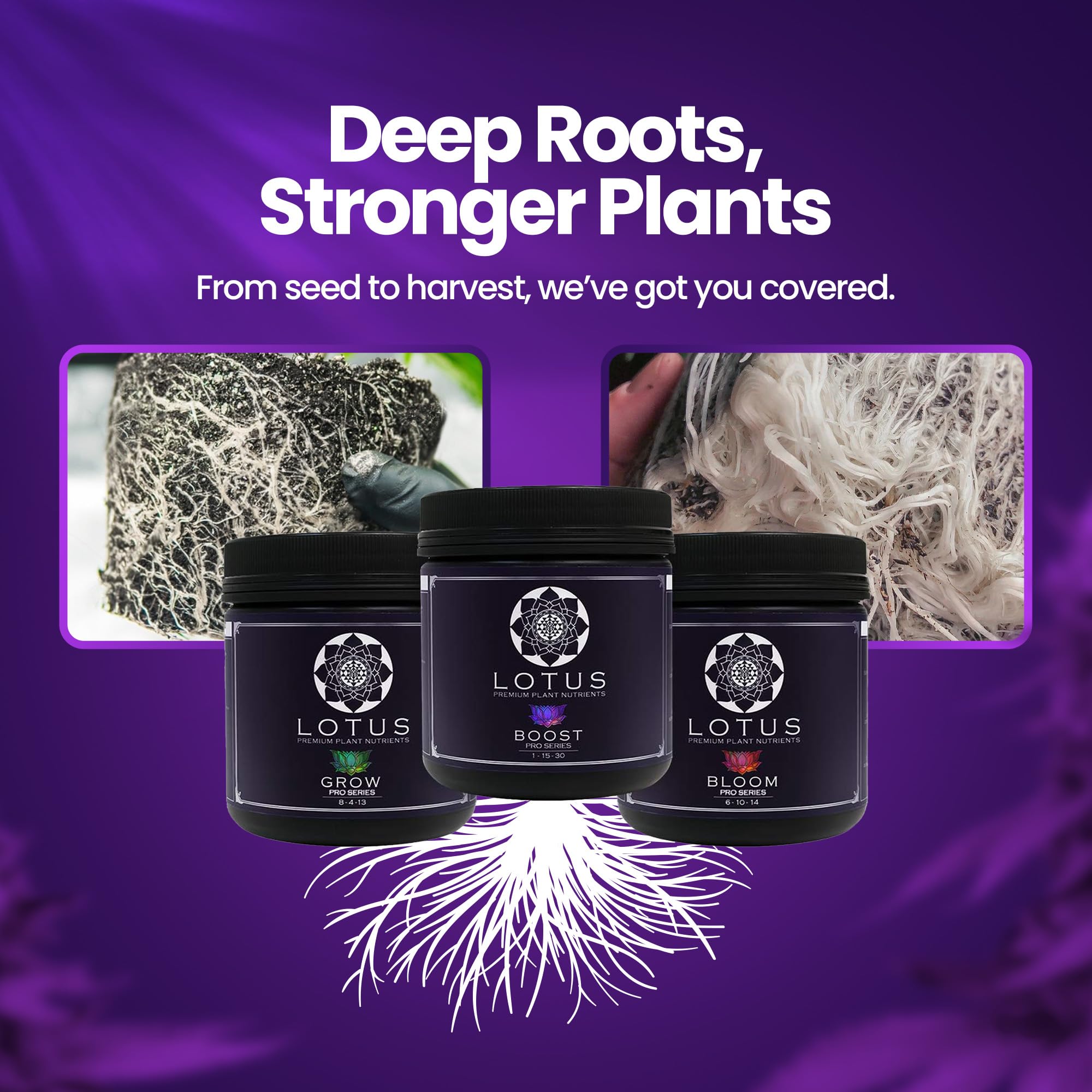 Mua Lotus Nutrients Starter Kit (Bloom, Boost, and Grow) - Most ...