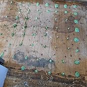 CARAVAN SOFT FLOOR ONE SHOT DELAMINATION REPAIR KIT: Amazon.co.uk ...