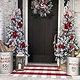 Amazon.com: Christmas Plaid Outdoor Rug, 2'x4'3'' Red&White Check ...