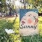 Sunny Volume 2 | Amazon.com.br