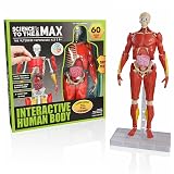 STEM Learning Models Learning Resources Human Body Anatomy Set ...