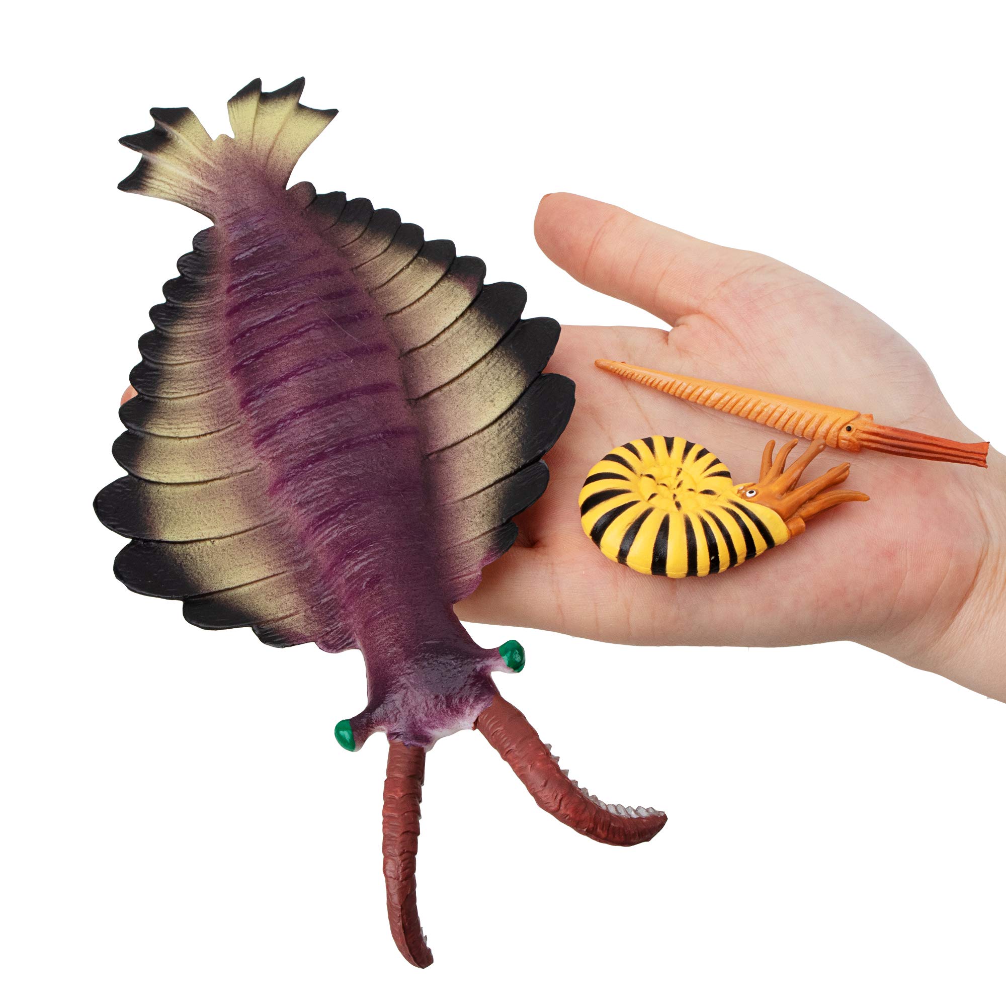 Mua Toymany 10PCS Ancient Marine Creatures, Cambrian Sea Animal ...