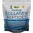 Amazon.com: Andrew Lessman Marine Collagen Peptides Powder & MSM 240 ...
