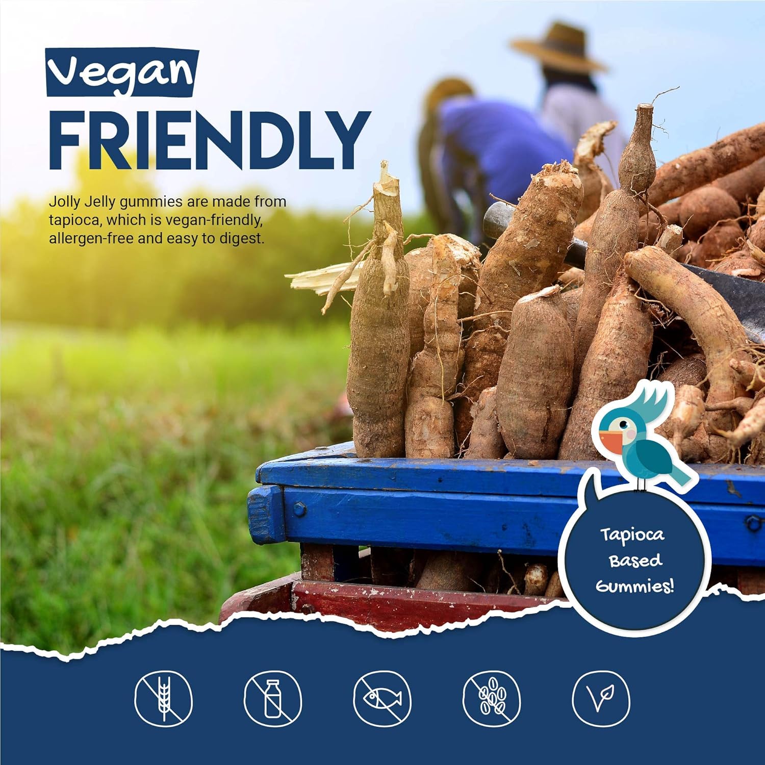 Adults Probiotics Tapioca Gummies – 5B CFU Bacillus Coagulans Per ...