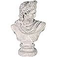 Amazon.com: Design Toscano Apollo Belvedere Bust Statue : Everything Else
